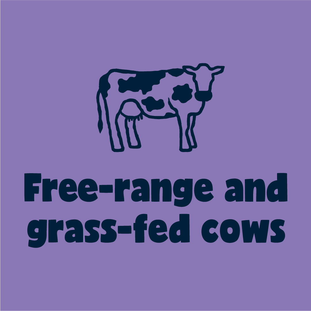 Organic Herd - Woodhorn Farm